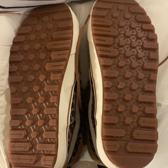 Shoes | Brand New Vans Never Worn | Poshmark